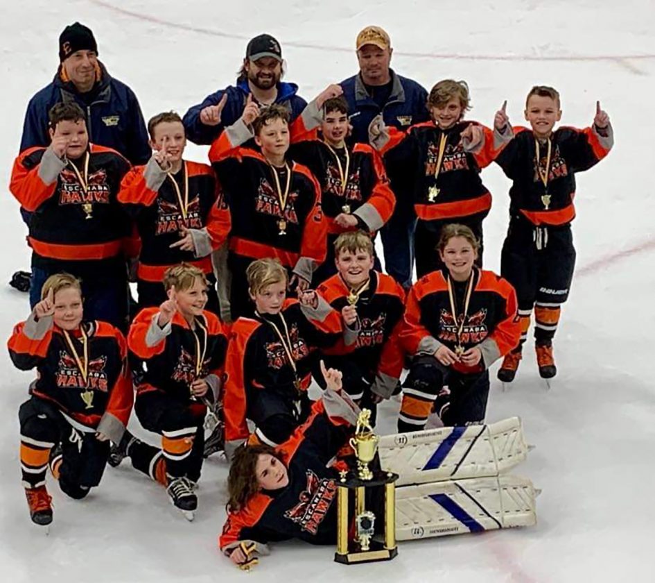 10-U Hawks icers earn district title | News, Sports, Jobs - Daily Press